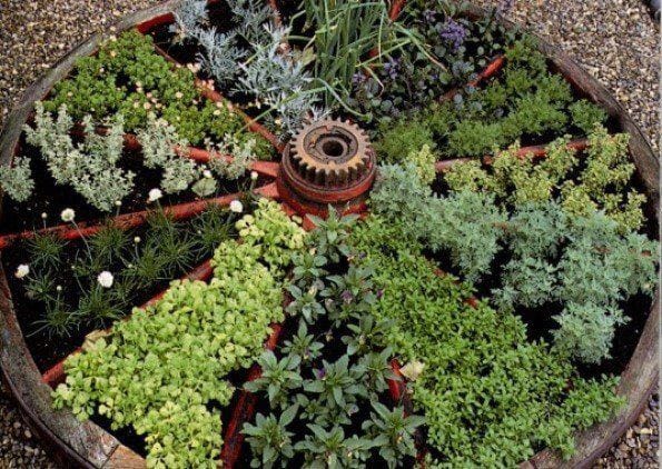Primavera: momento para un huerto de hierbas aromáticas - Ideas para ...